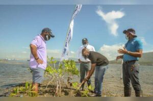 NEPA, UWI-CMS, UNEP partner to launch UN Decade on Ecosystem ...
