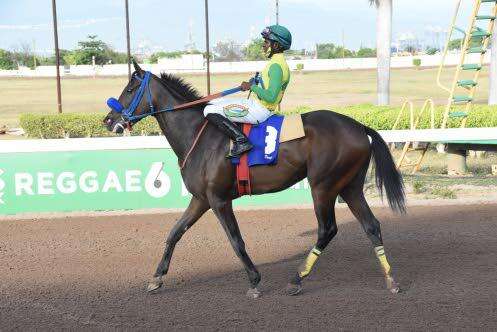 Big Jule – Classic ready at the right time - Jamaica Observer