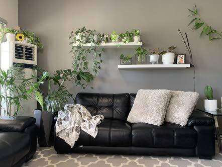 Fannzcy Plants with Fanny Chang - Jamaica Observer