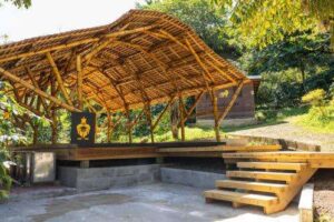 Bamboo Industry Association, NHT closer to implementing affordable ...