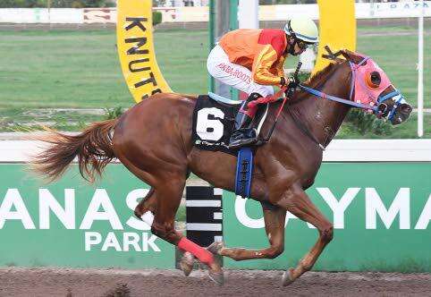 Billy Whizz blitzes field to land Knutsford Park Cup - Jamaica Observer
