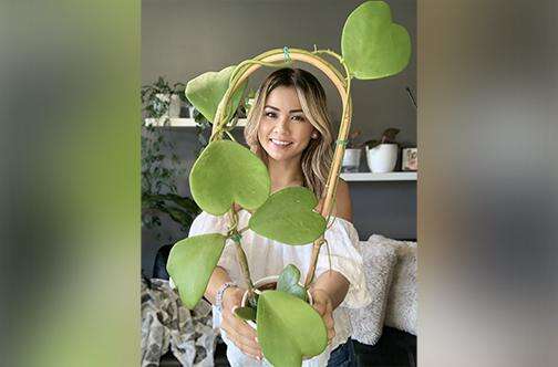 Fannzcy Plants with Fanny Chang - Jamaica Observer