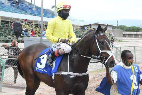 Trevor's Choice tipped to lead the field in Overnight Allowance ...