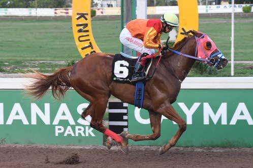 Billy Whizz makes it win number two - Jamaica Observer