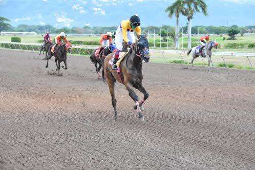 Another triple by Anthony Thomas - Jamaica Observer
