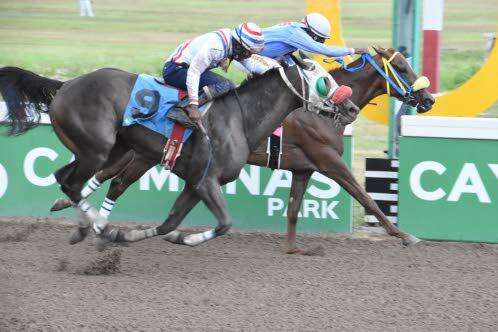 Anthony Nunes becomes the 'sweeper' - Jamaica Observer