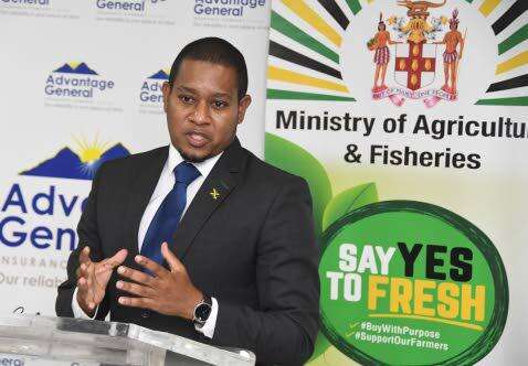 The rise and fall of Floyd Green - Jamaica Observer