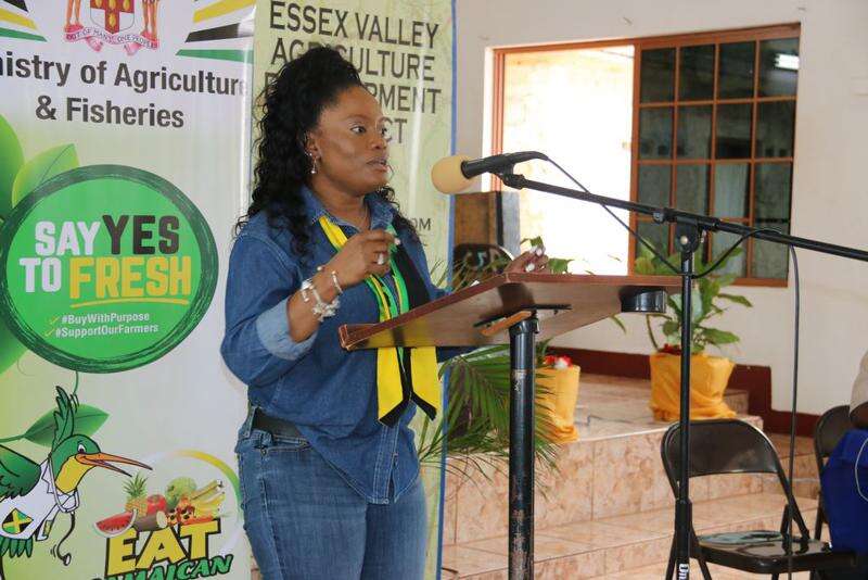 Rehabilitation of roads, installation of irrigation pipelines in Essex ...