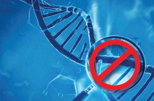 DNA backlash - Jamaica Observer