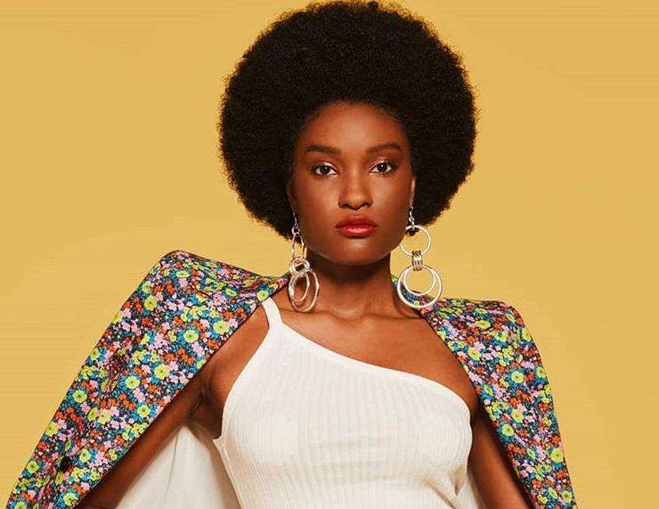 Finsac probe fiasco - Jamaica Observer