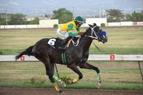 Big Jule throws down gauntlet with impressive performance - Jamaica ...