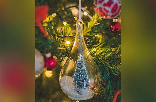 The Christmas tree bladder - Jamaica Observer