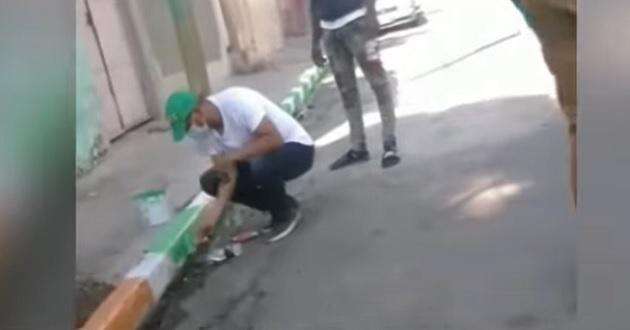 MP Donovan Williams painting sidewalks green irks political ombudsman ...