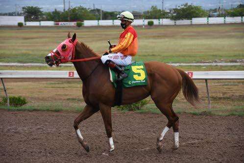 Billy to Whizz again - Jamaica Observer