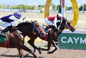 Secret Identity set to reveal class in George HoSang Trophy race ...