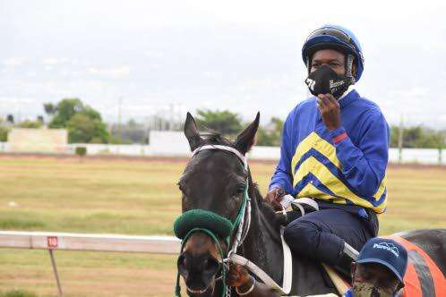 Dane Nelson returns with aim of reaching 1,200 winners - Jamaica Observer