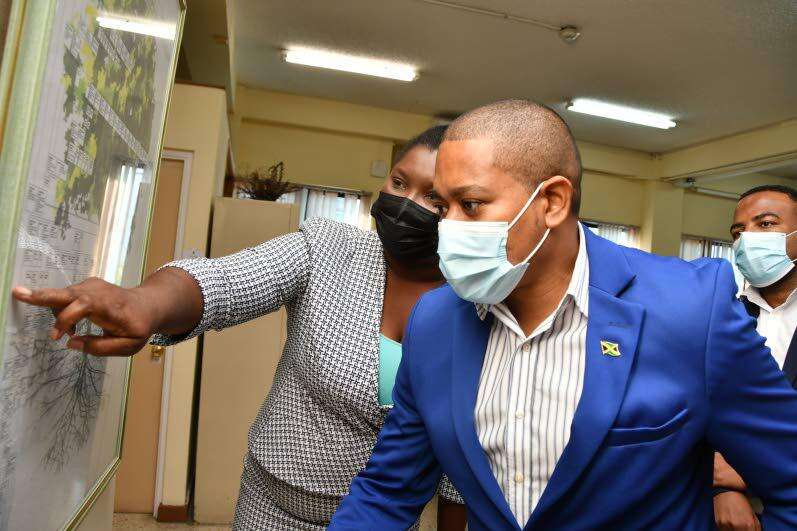 Green talks plans to improve genealogy tracing, digitisation of records ...