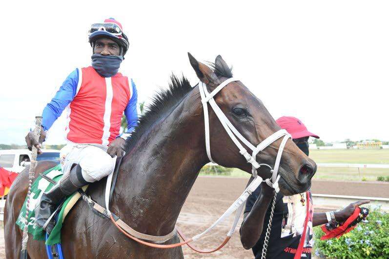 Calculus the best stayer around – Shane Ellis - Jamaica Observer