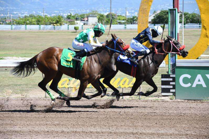 Racing Snaps 2 for Saturday, February 5, 2022 - Jamaica Observer