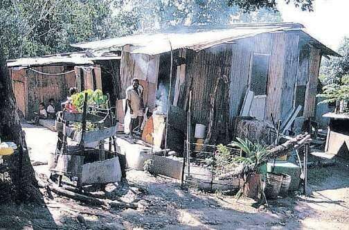 Regularise squatter settlements - Jamaica Observer