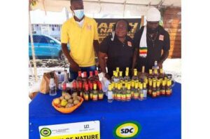 Harth of Nature ready to bloom - Jamaica Observer