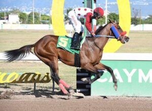 Eagle One soars in Eileen Cliggott Memorial Trophy race - Jamaica Observer