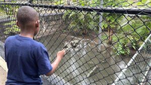 WATCH: Students connect with wildlife at Hope Zoo - Jamaica Observer