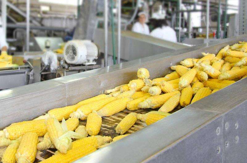 CDB supports MSME agro-processing project - Jamaica Observer
