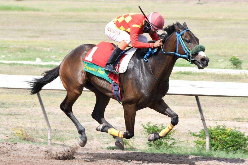 Review of race day — Saturday, April 9, 2022 - Jamaica Observer