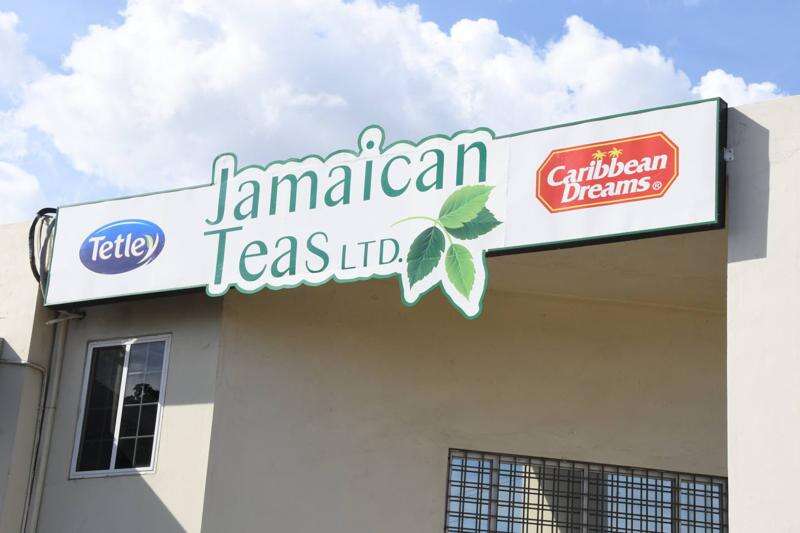 The Jamaican Teas story - Jamaica Observer