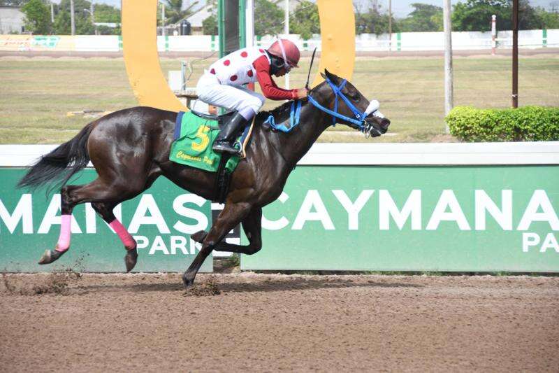 Madelyn’s Sunshine forward trek continues - Jamaica Observer