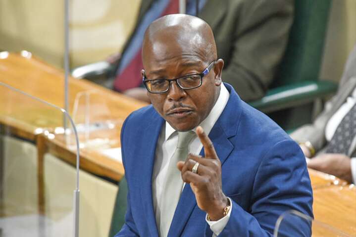 Government providing free lands to 5,000 farmers, says Charles Jr ...