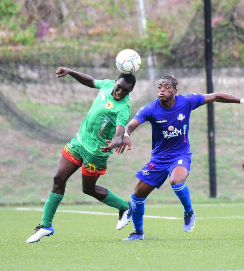 Back-to-back wins lighten the heart of Humble Lions Coach Price ...