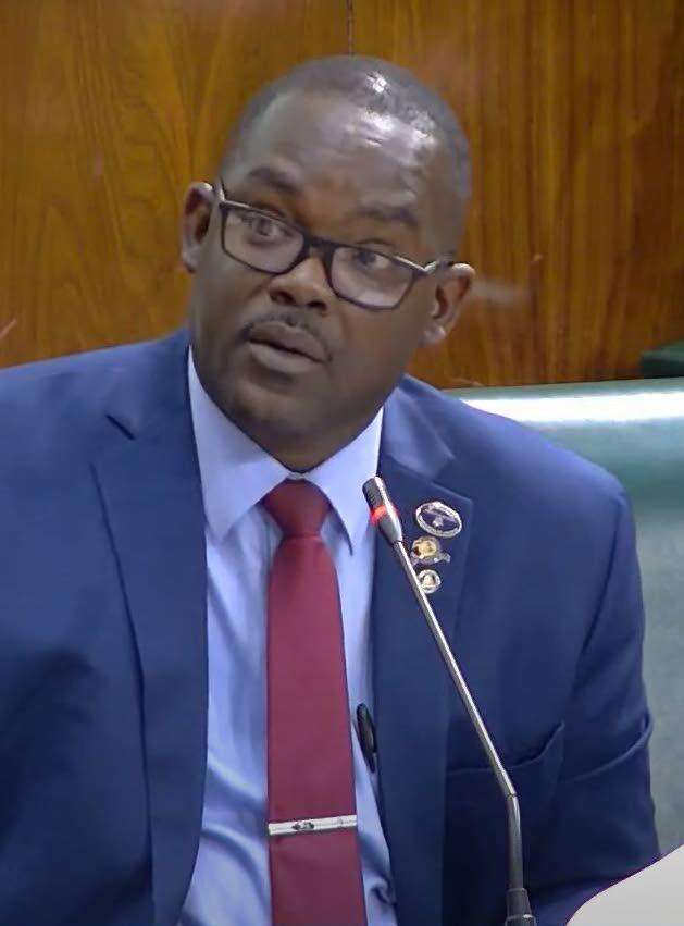 More Protection Needed For Our Nation Builders Jamaica Observer
