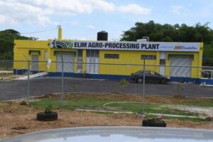 A new day dawning for Sydney Pagon STEM Academy - Jamaica Observer