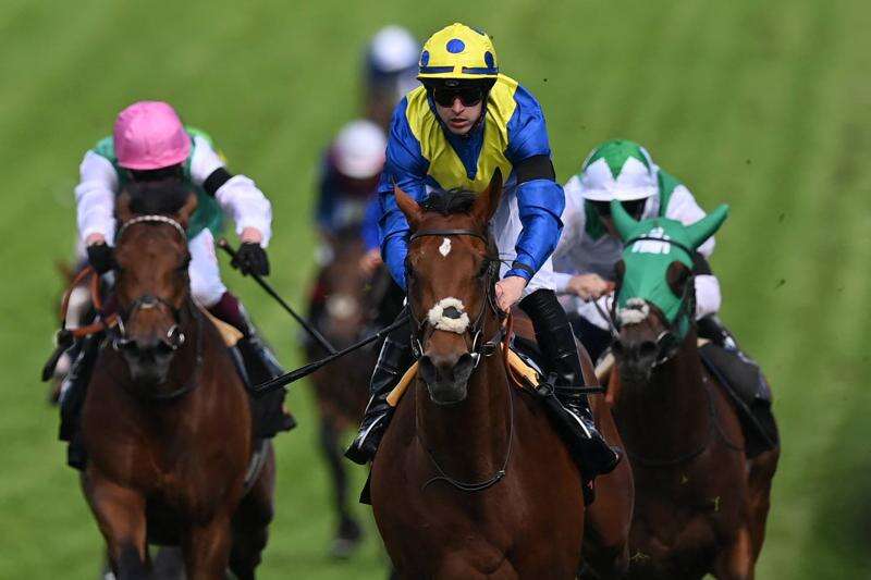 The Derby crown fits Stoute, the doyen of the ‘Sport of Kings ...