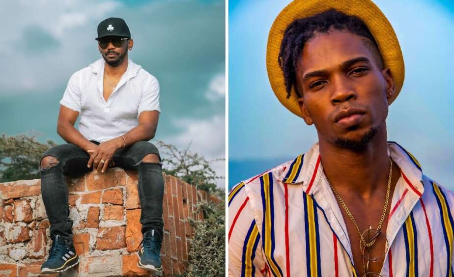 Troyton Music eyes hit with Dyani’s ‘Miss A Loop’ - Jamaica Observer