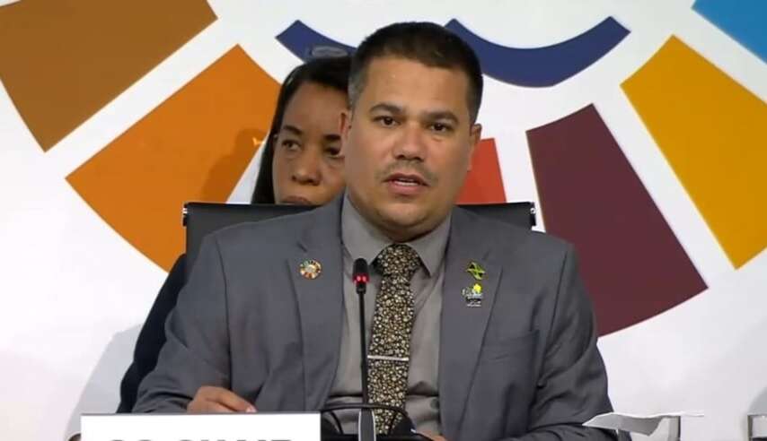 Senator Samuda wants all hands on deck to save environment - Jamaica ...