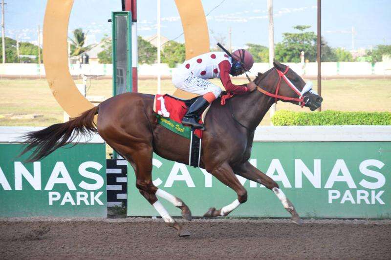 Double Diva makes it four wins from five starts - Jamaica Observer
