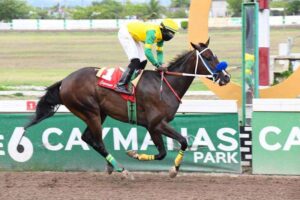 Big Jule with another two-turn victory - Jamaica Observer