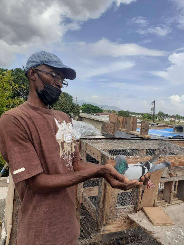 'RACING PIGEONS SAVED MY LIFE!' - Jamaica Observer