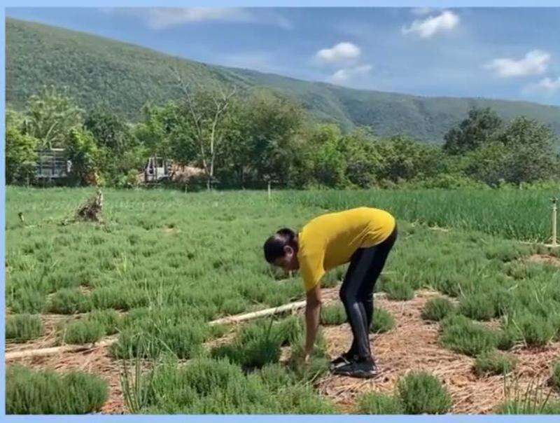 My name is Strong - Jamaica Observer