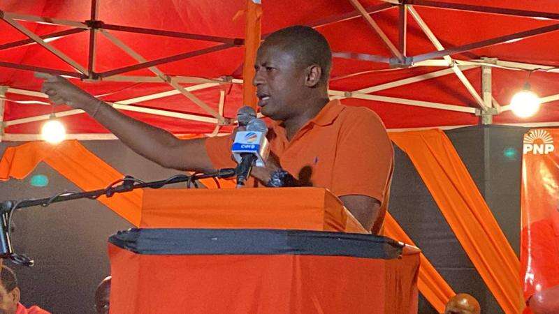 Focus on high fuel prices, Hayles says following Gov't EV plan ...