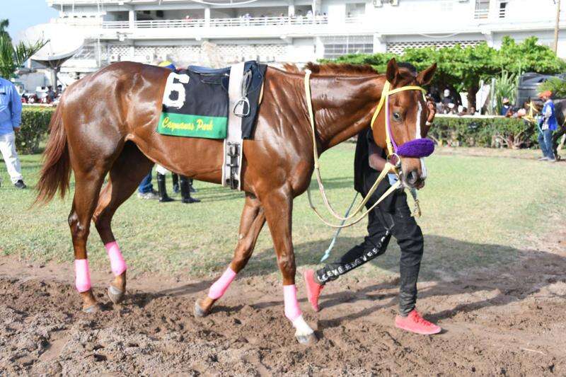 Eagle One, Generational, Emperorofthecats to decide Overnight Allowance ...