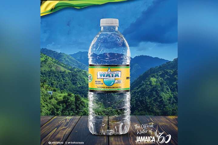 WATA marks Jamaica 60th with $12m in education grants - Jamaica Observer
