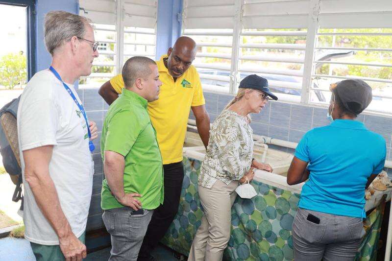 'We have a lot of work to do' - Jamaica Observer