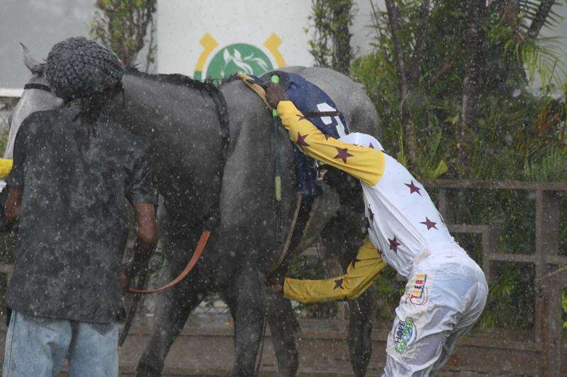 Racing Snaps – Saturday, August 20, 2022 - Jamaica Observer