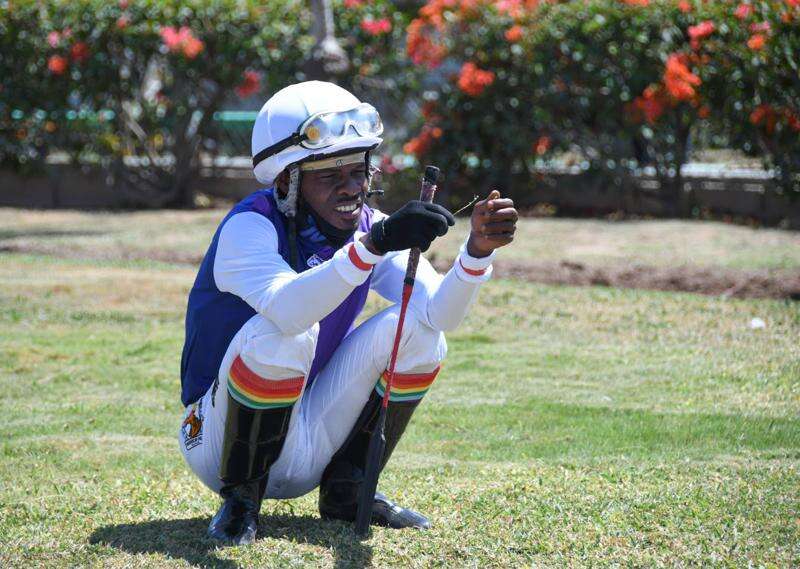 Dane Nelson reaches 300 winners in Canada - Jamaica Observer