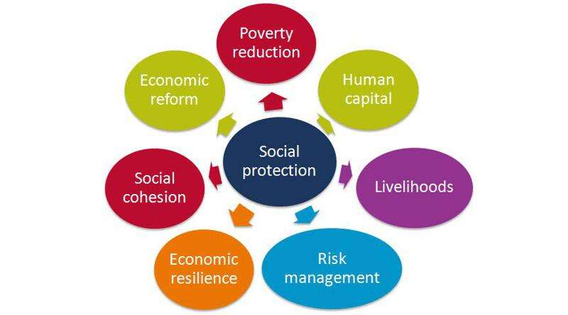 Reimagining social protection systems in the Caribbean - Jamaica Observer