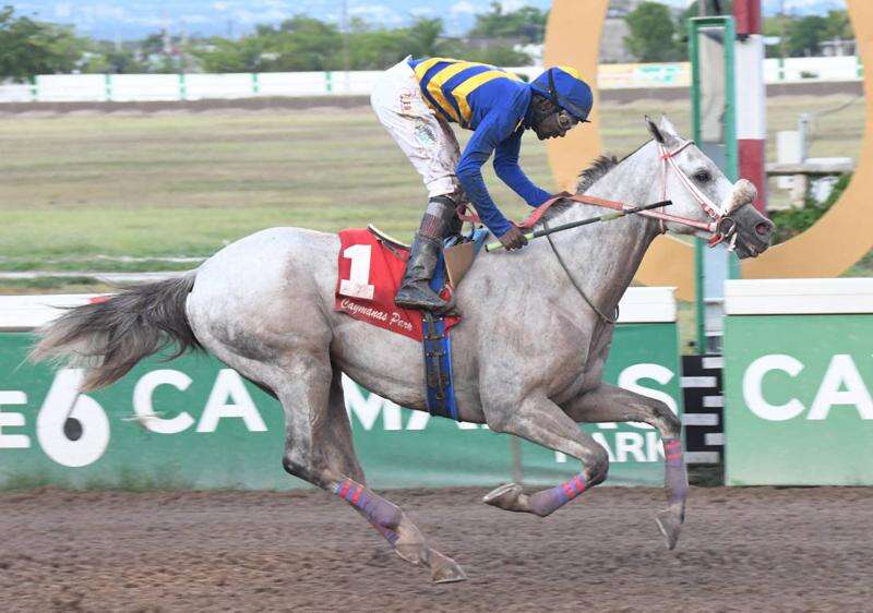 Race Car too fast for rivals in Arthur Jones Memorial Cup - Jamaica ...